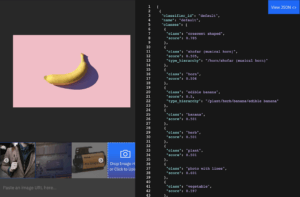 7 Best Image Recognition APIs | Nordic APIs