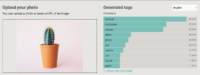 7 Best Image Recognition APIs | Nordic APIs